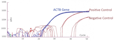 High Sensitivity Gene Mutation Detection Kits