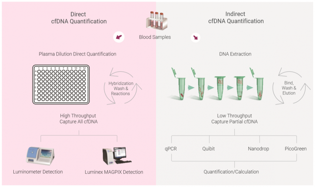 Generic cfDNA Quantification - DiaCarta, Inc.