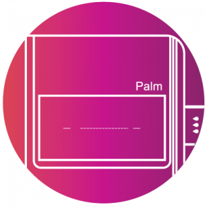 Palm F - DiaCarta, Inc.