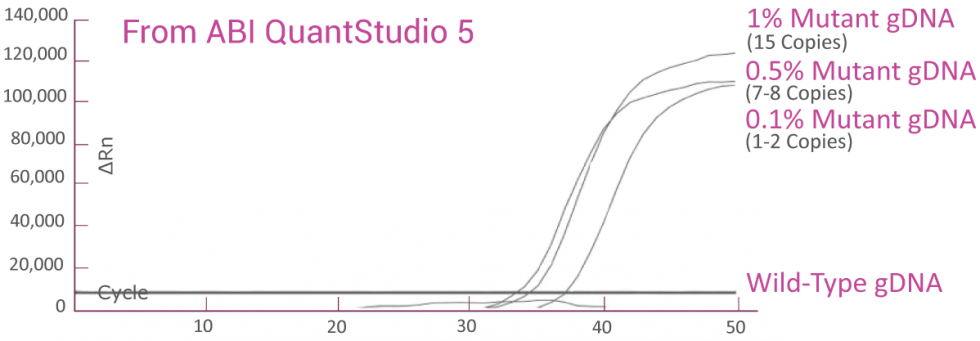braf mutation test in exon 15, codon 600